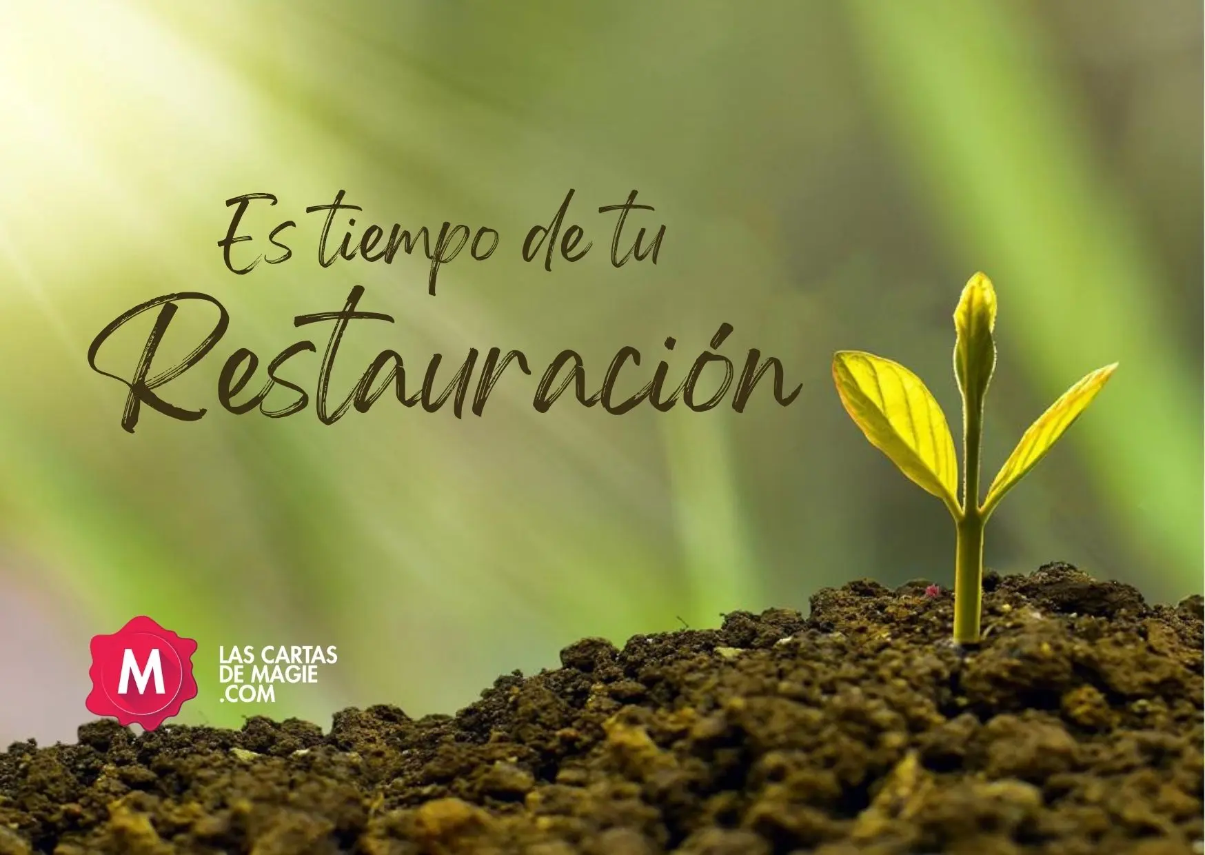 Restauración Bíblica: Esperanza Y Transformación | Iglesia Del Pilar